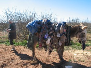 Big Bend Burro Lady, Judy Magers | the roy hamric journal